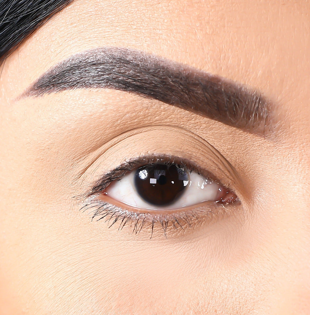3D Mink Eyelashes - Snake – VIAI BEAUTY